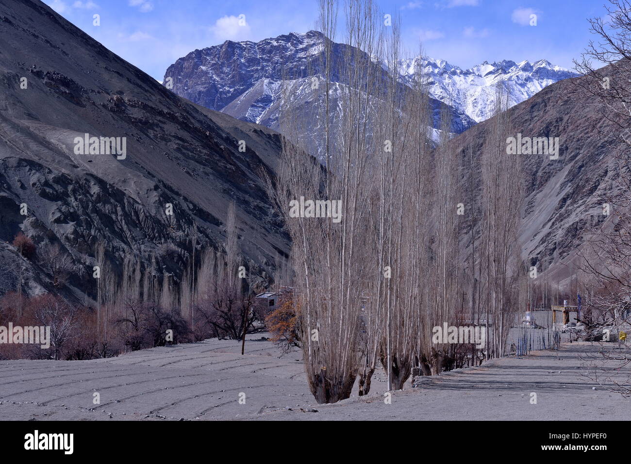 India, Ladakh, Indian State Jammu and Kashmir, mountain landscape in ...