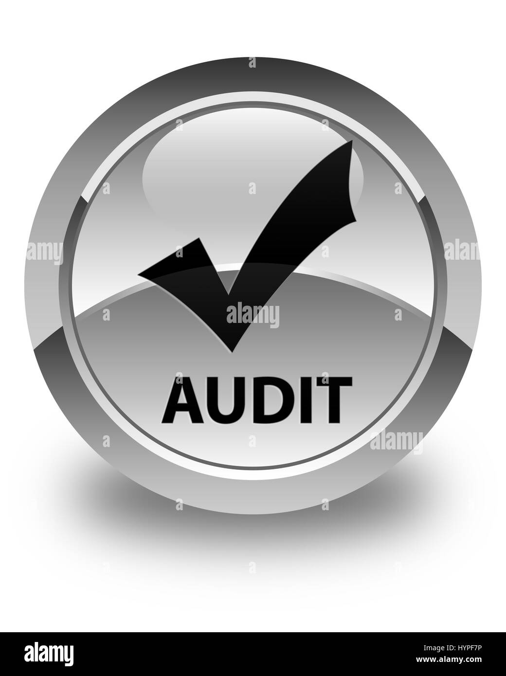 Audit (validate icon) isolated on glossy white round button abstract ...