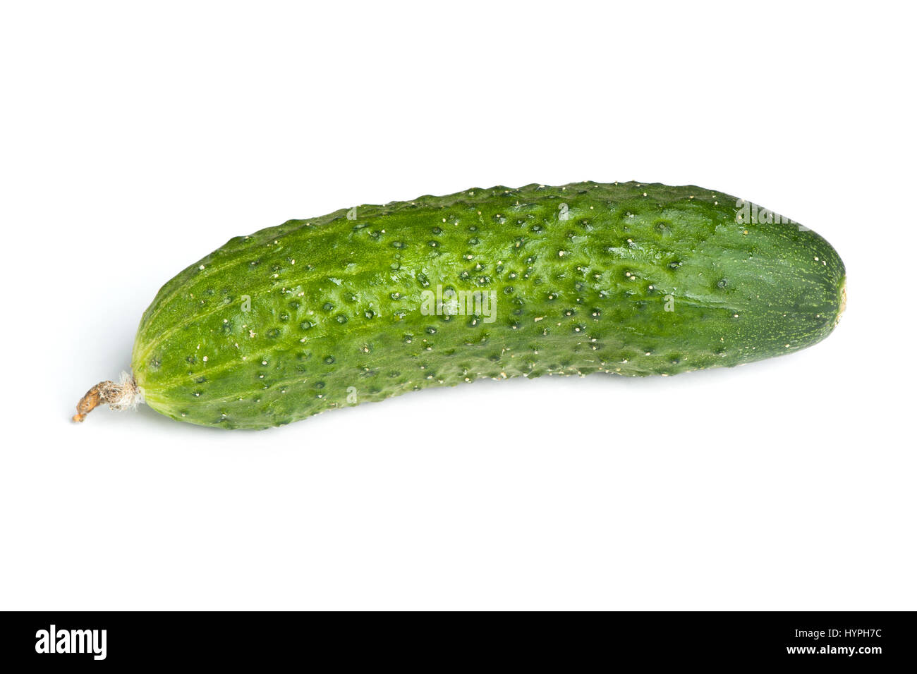 One cucumber isolated on white background Stock Photo - Alamy