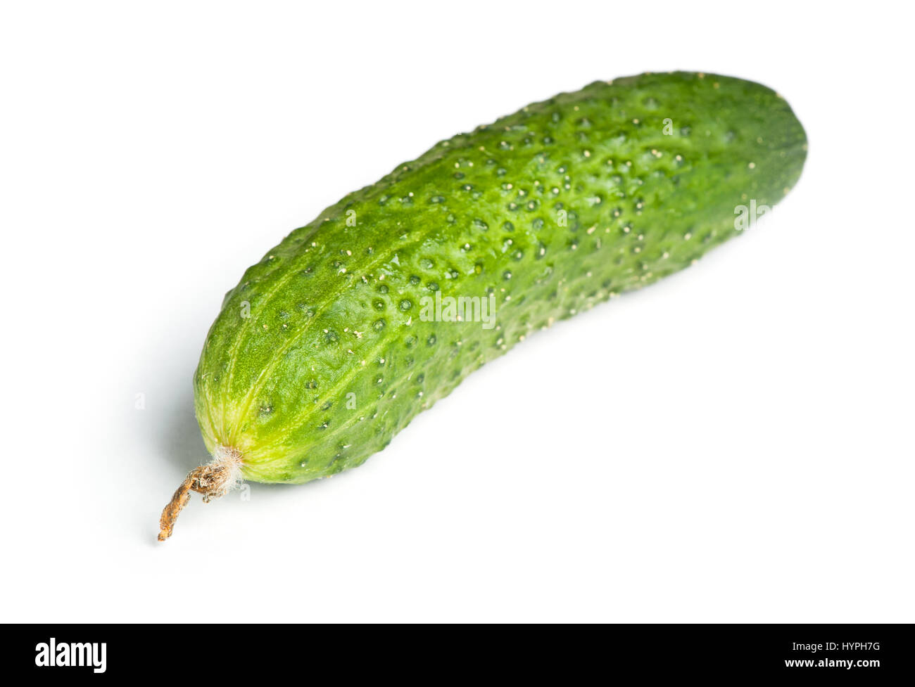 One cucumber isolated on white Stock Photo - Alamy