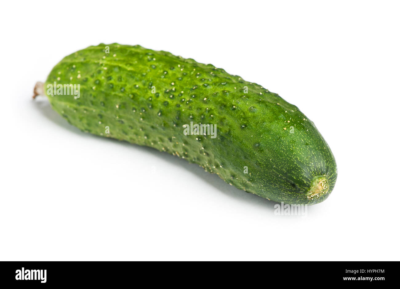 One cucumber isolated on white Stock Photo - Alamy