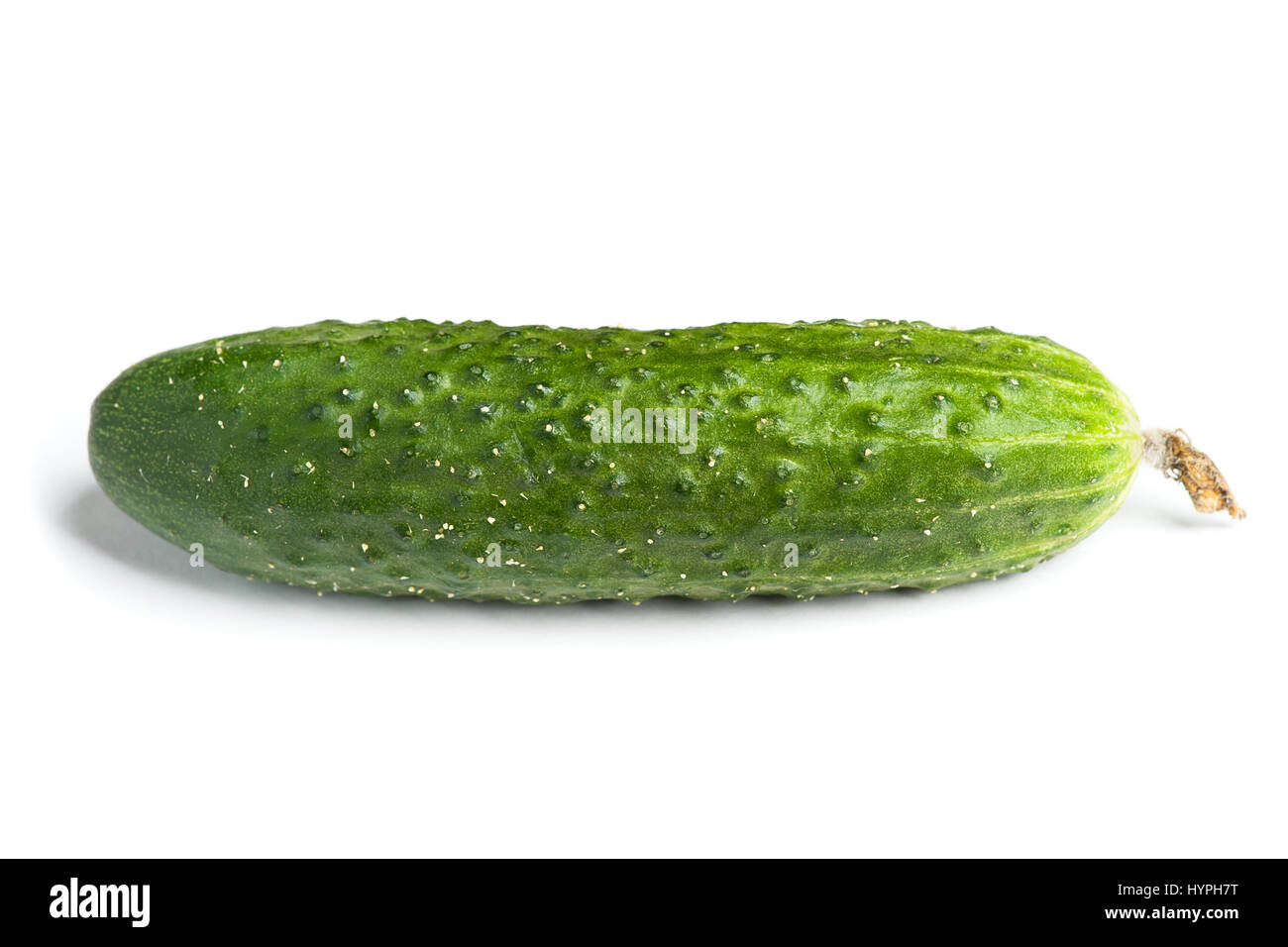 One cucumber isolated on white background Stock Photo - Alamy