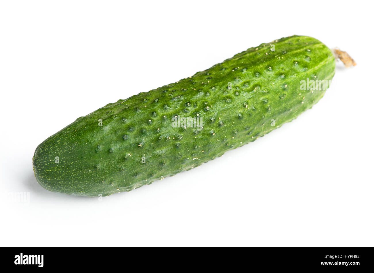 One cucumber isolated on white Stock Photo - Alamy