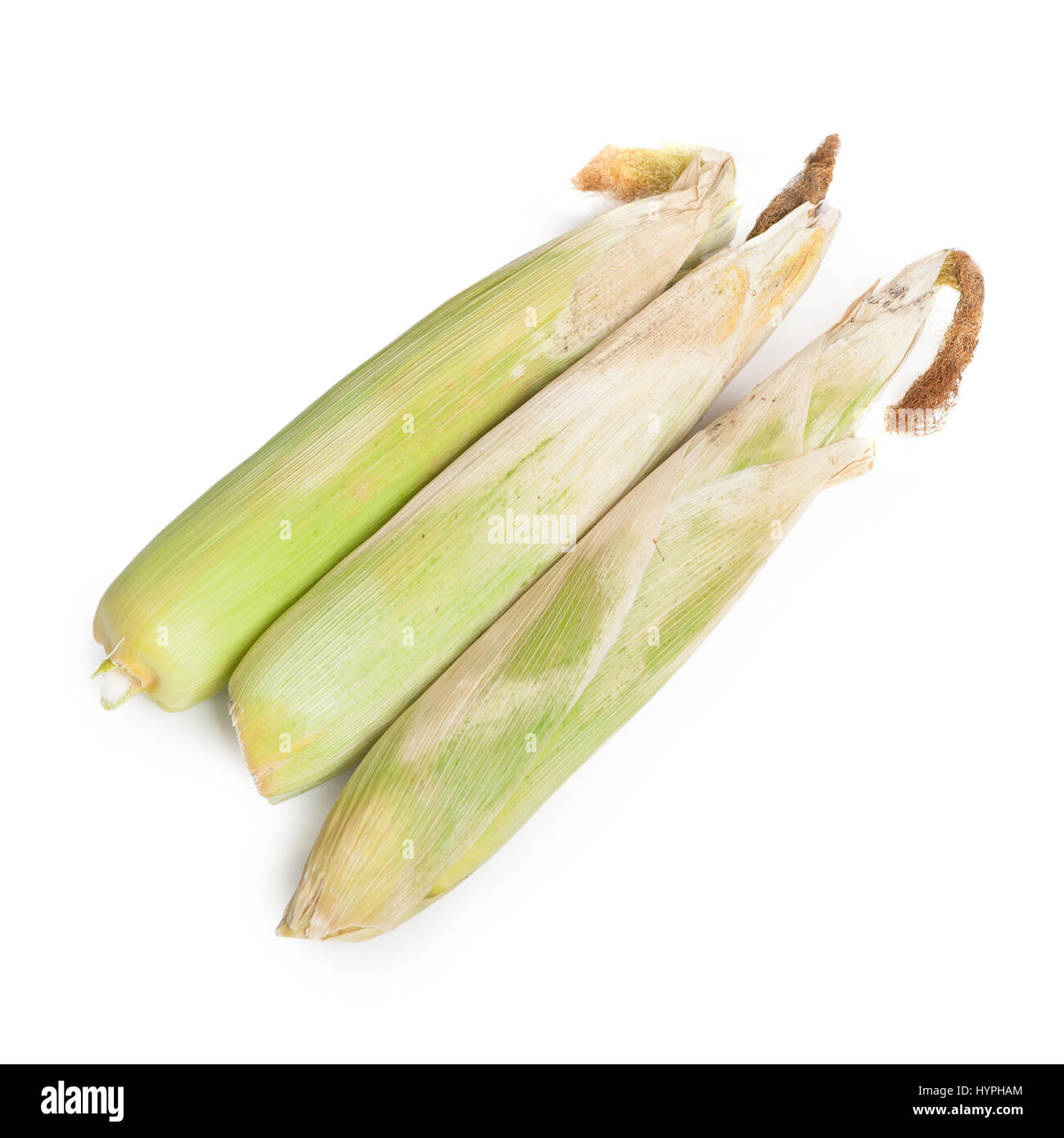 Closed corn cob isolated on white background Stock Photo - Alamy