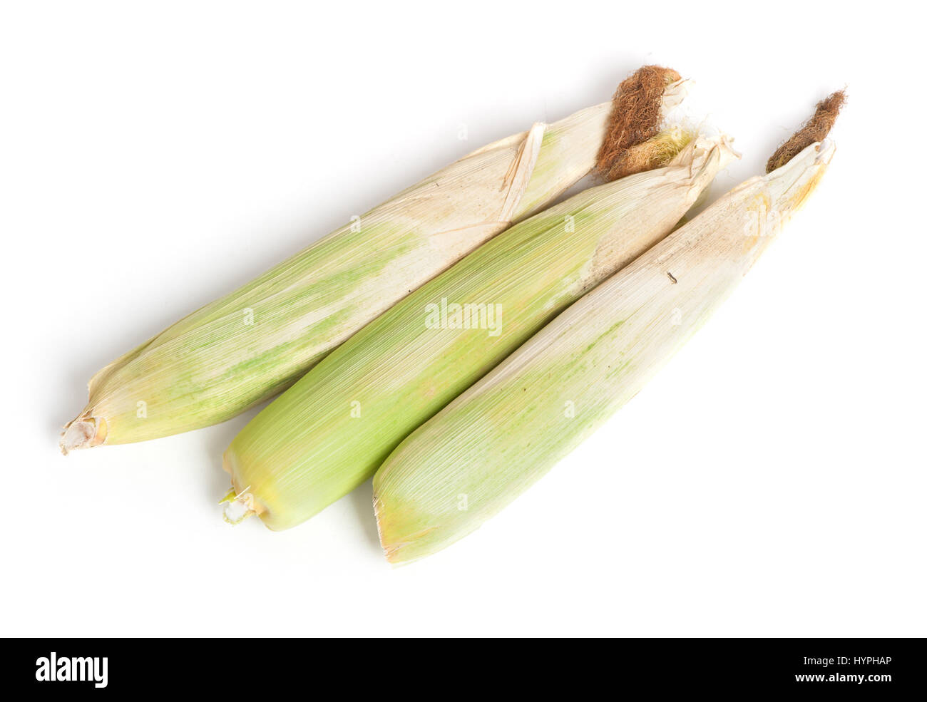 Closed corn cob isolated on white background Stock Photo - Alamy