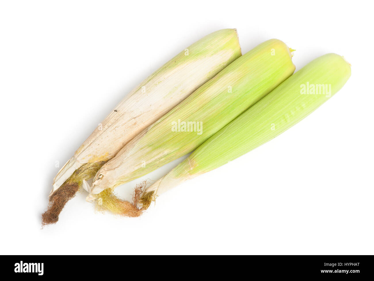 Closed corn cob isolated on white background Stock Photo - Alamy