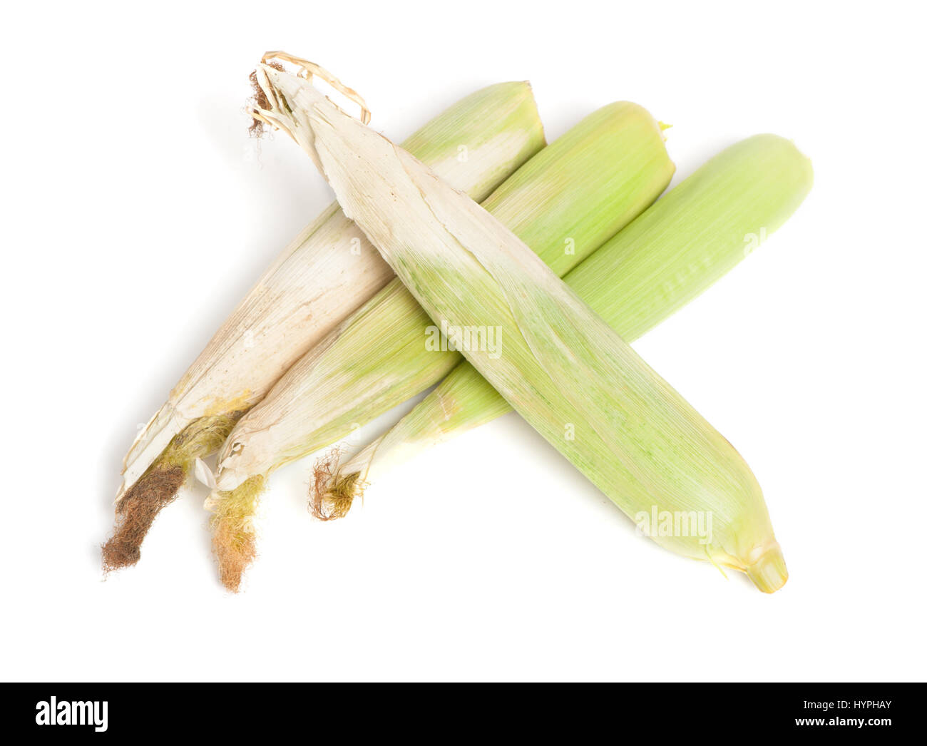 Closed corn cob isolated on white background Stock Photo - Alamy