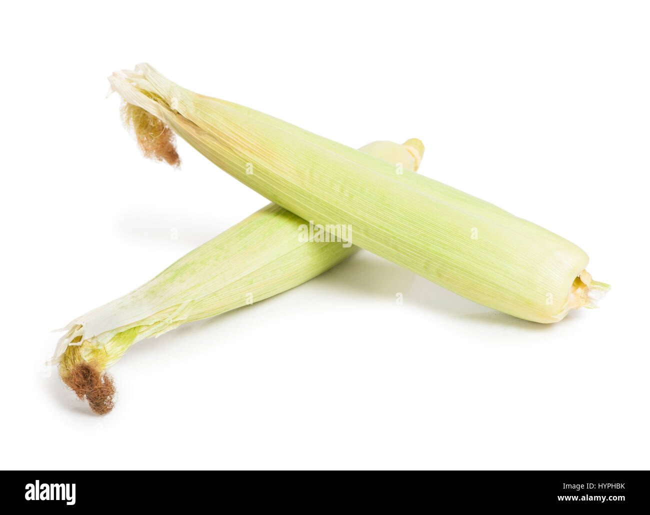 Closed corn cob isolated on white background Stock Photo - Alamy