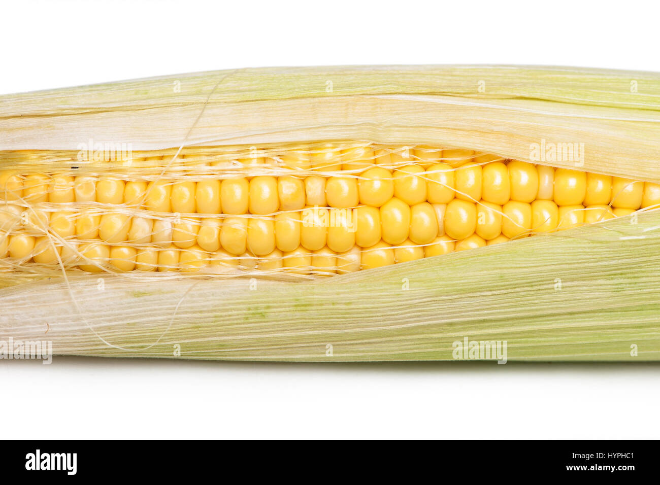 Corn on the cob kernels isolated on white background Stock Photo - Alamy