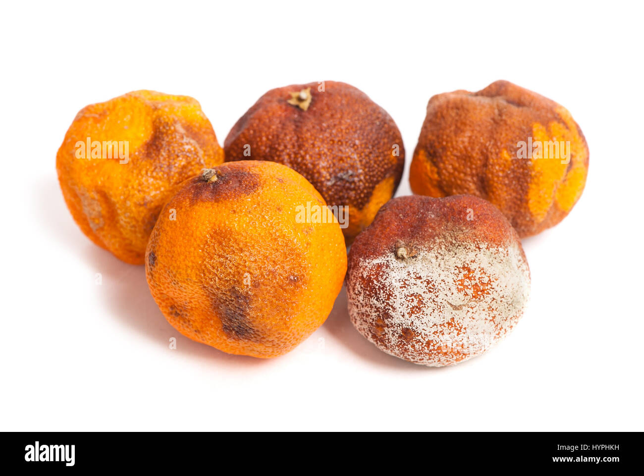Group of rotten oranges isolated on white background Stock Photo - Alamy