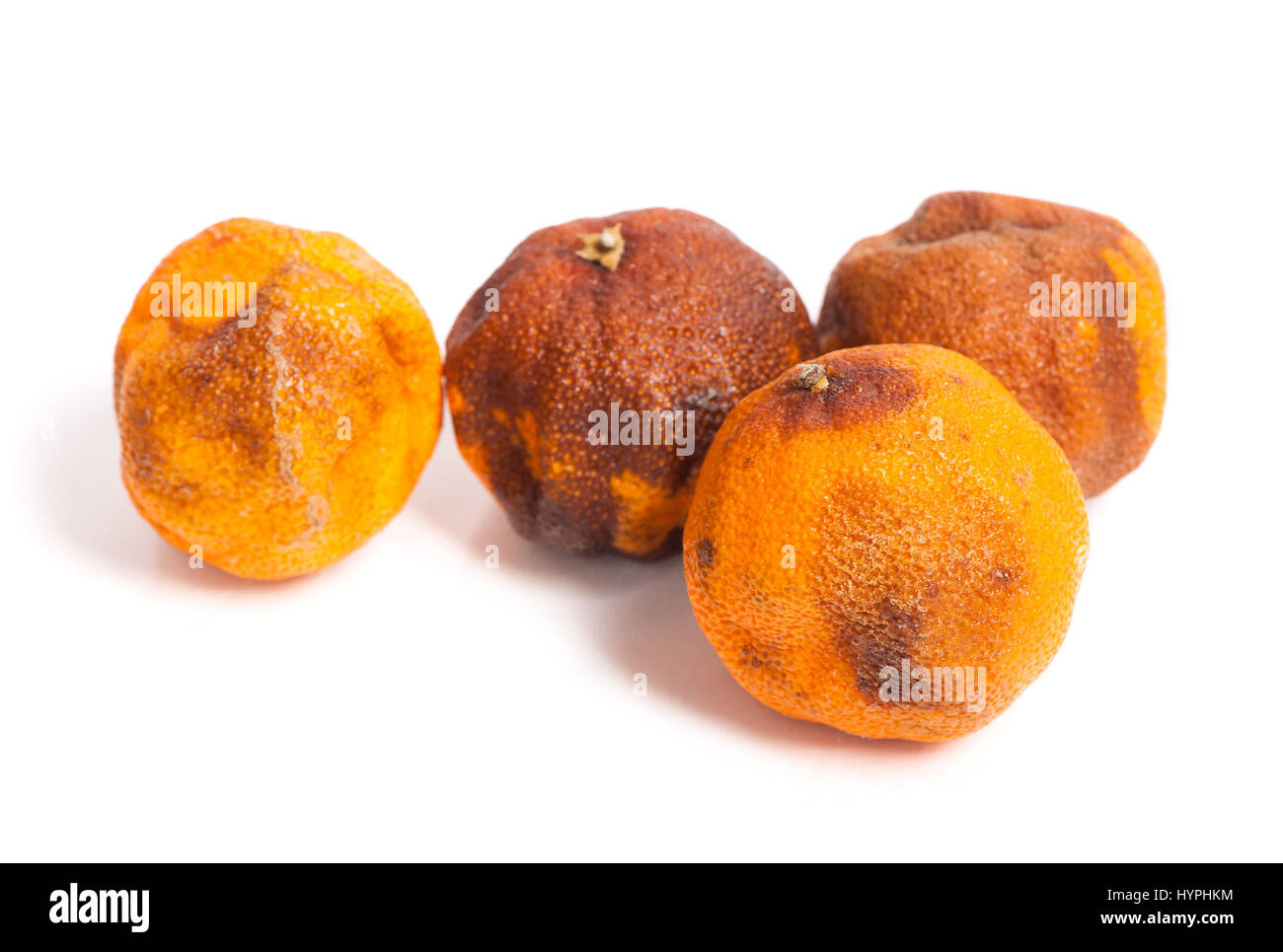 Group of rotten oranges isolated on white background Stock Photo - Alamy