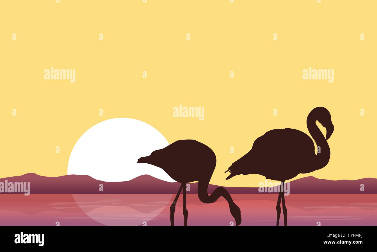 At sunset flamingo scenery silhouettes Stock Vector Image & Art - Alamy