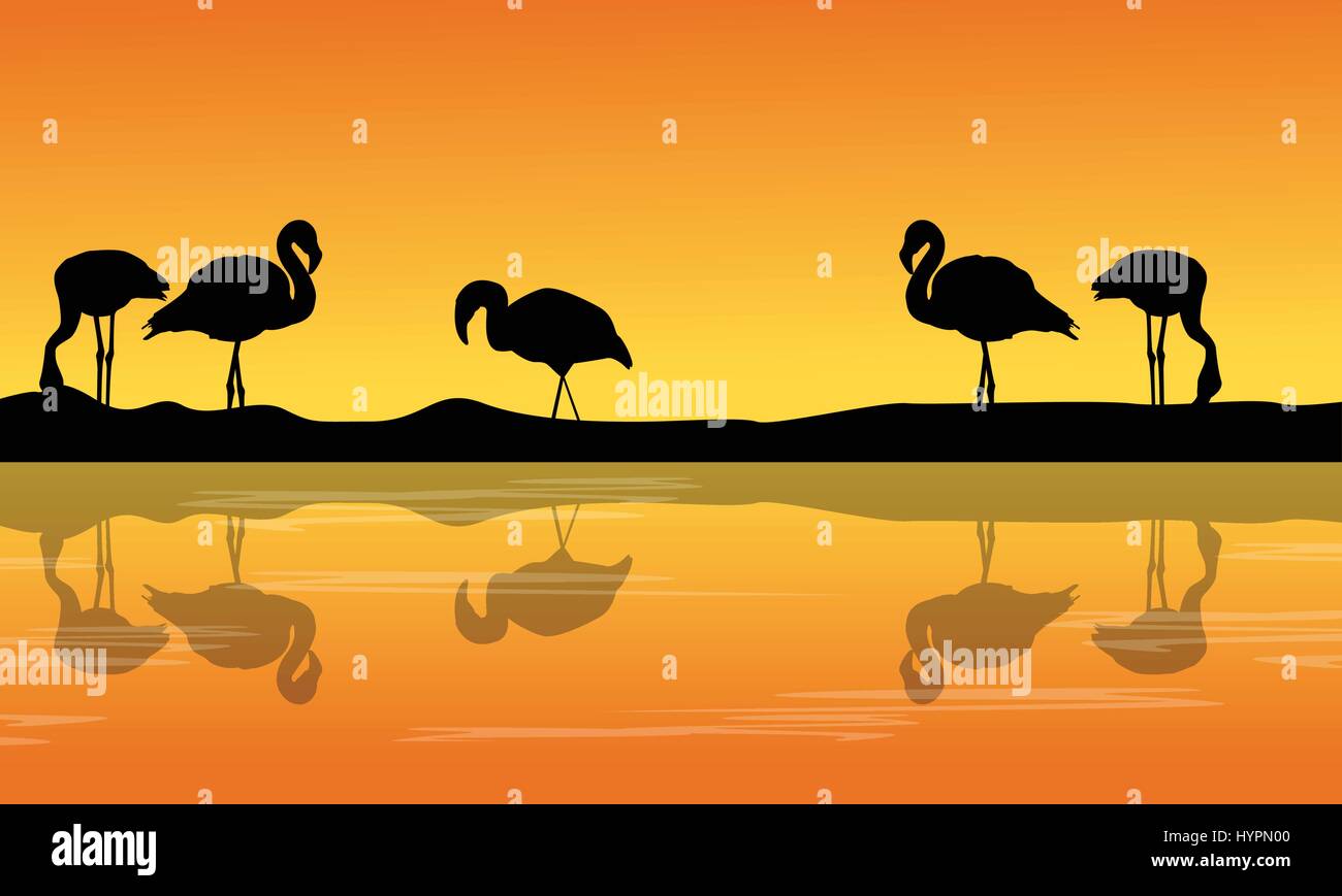At riverbank with silhouette flamingo scenery Stock Vector Image & Art ...