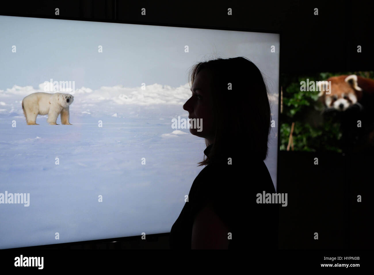 EDITORIAL USE ONLY Digital artist Kelly Richardson at the hyper-real ...