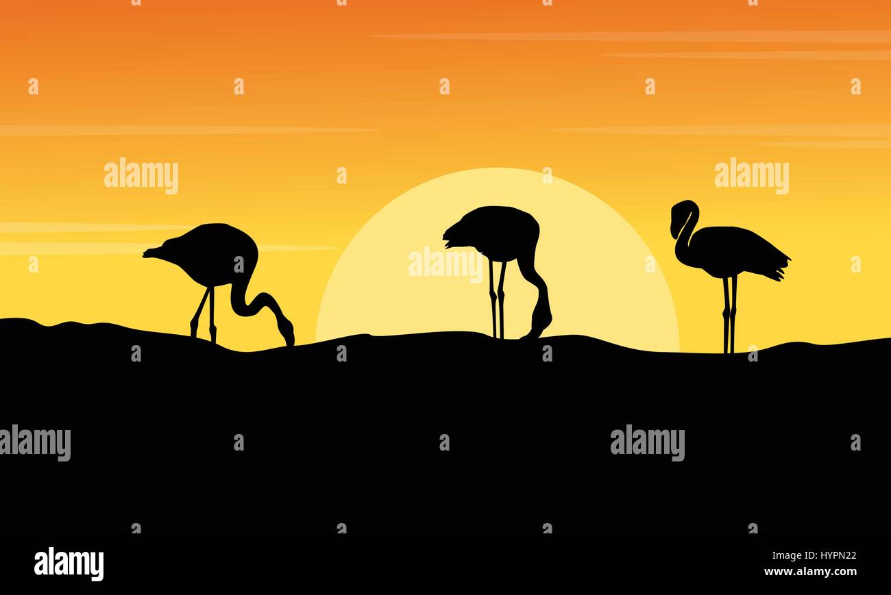 At sunset flamingo landscape silhouettes Stock Vector Image & Art - Alamy