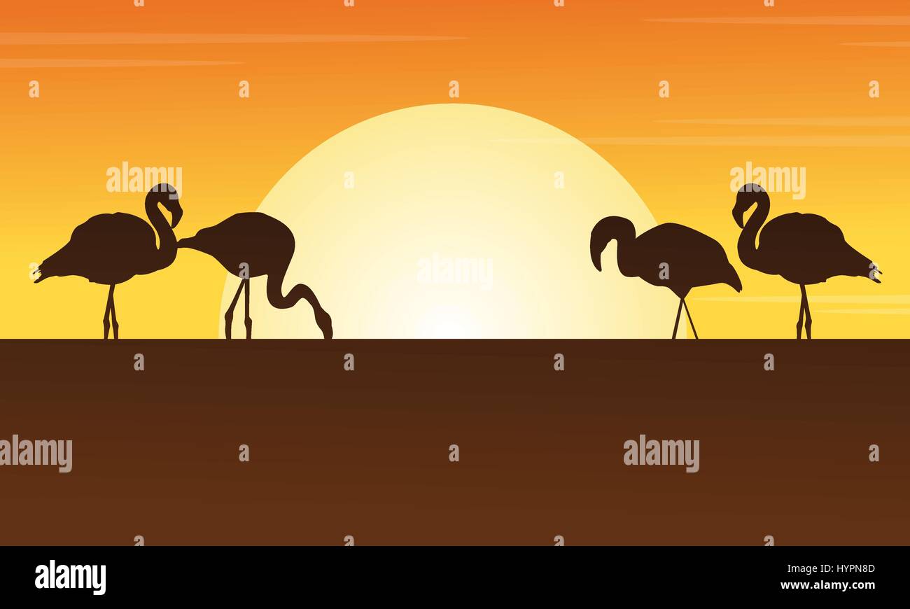 At sunset flamingo scene silhouettes Stock Vector Image & Art - Alamy
