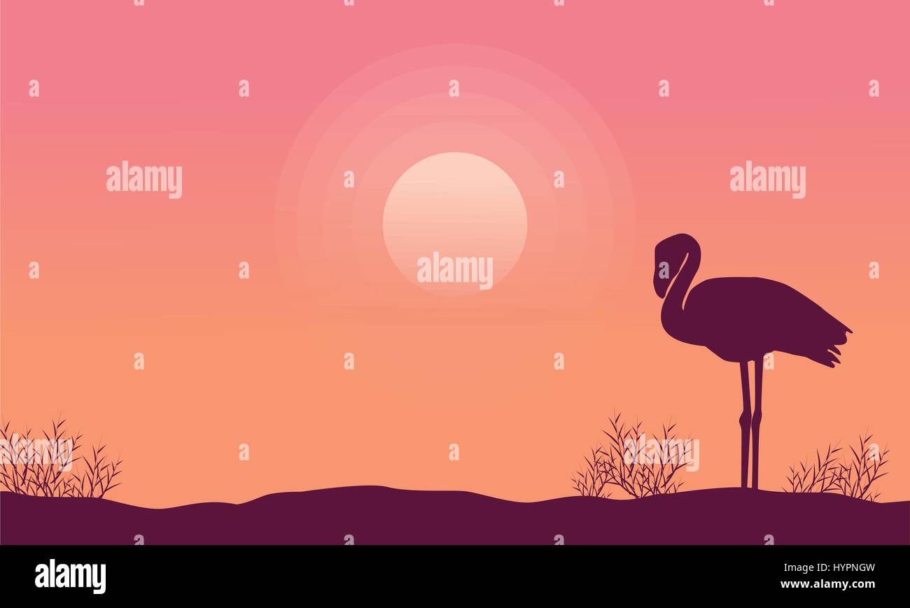 Silhouette flamingo scene collection stock Stock Vector Image & Art - Alamy