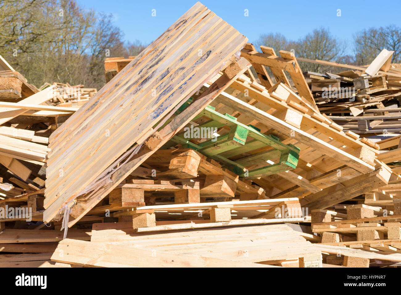 Wooden pallets in a pile of large woody debris that will be recycled ...