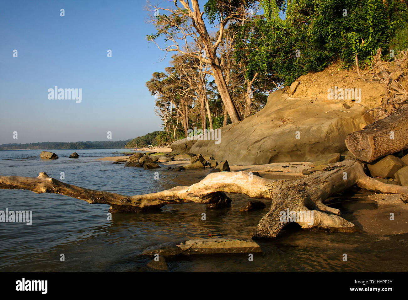Andaman sea rain forest hi-res stock photography and images - Alamy