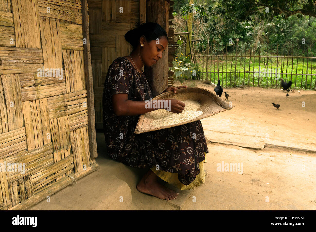 Woman in bamboo hut hi-res stock photography and images - Alamy