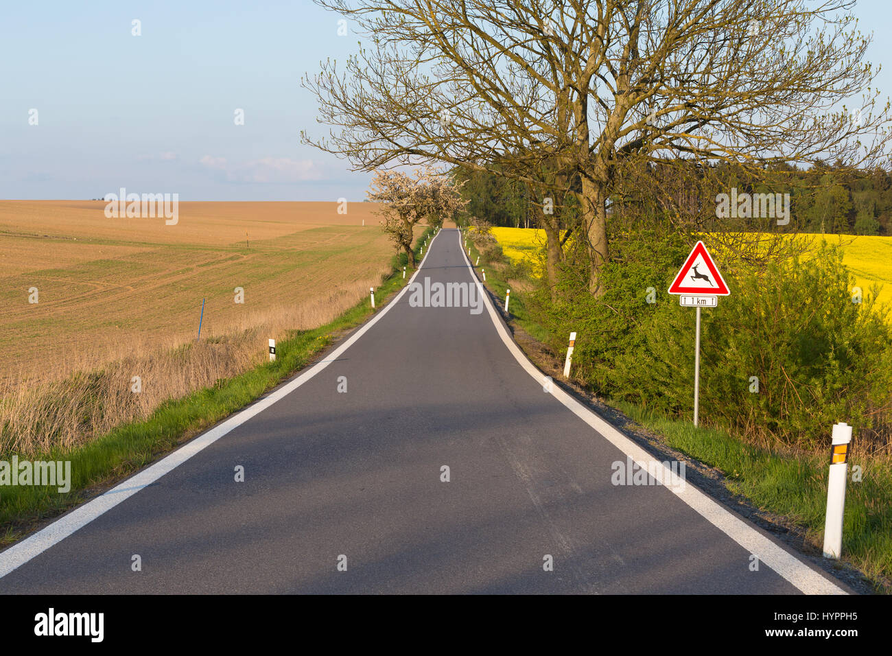 road with trees in spring, rural countryside landscape Stock Photo - Alamy