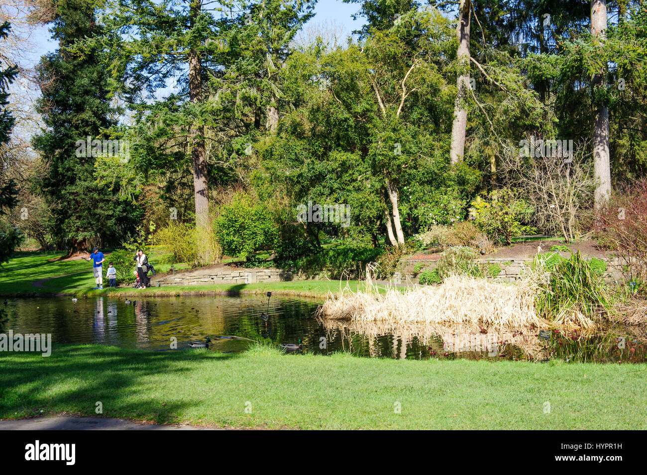 Dublin, Ireland - 15 March, 2017: Beautiful landscape in spring time in ...
