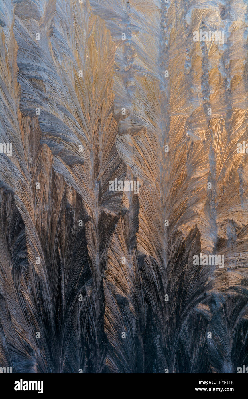 Frost on a window Stock Photo - Alamy
