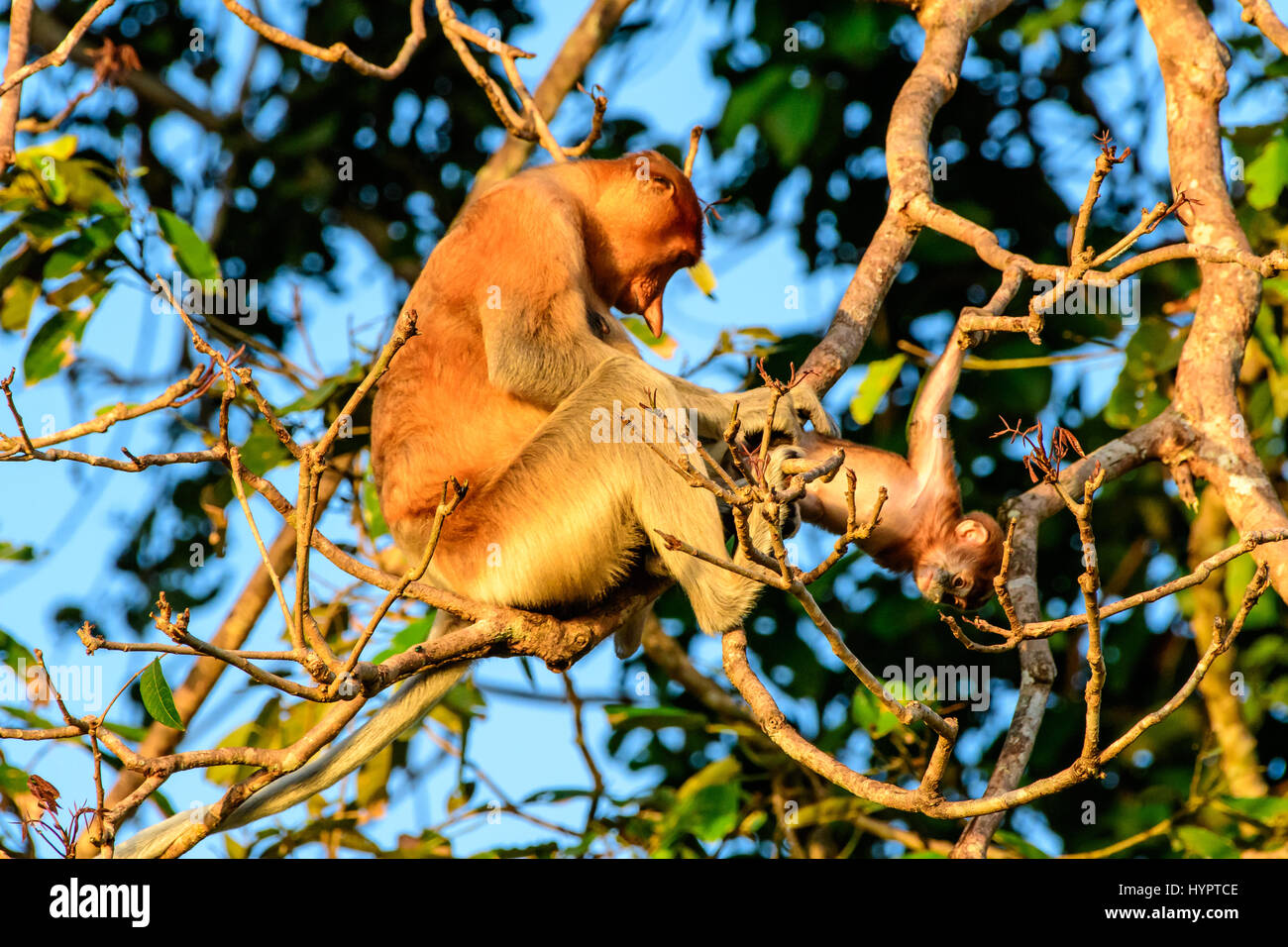 Attending baby hi-res stock photography and images - Alamy