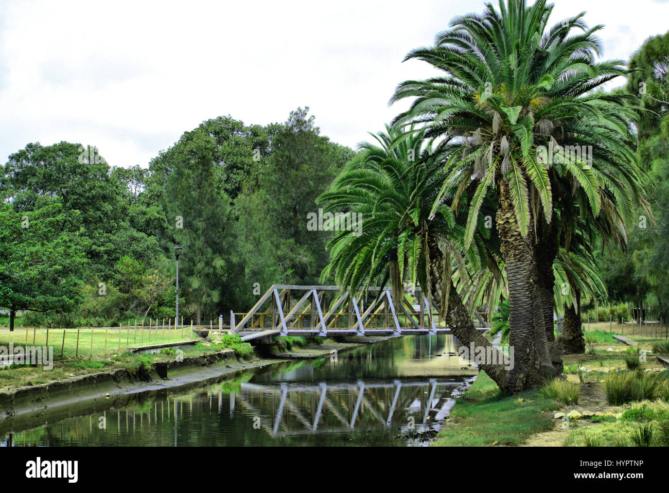 park landscape with palm trees and wooden bridge over river water ...