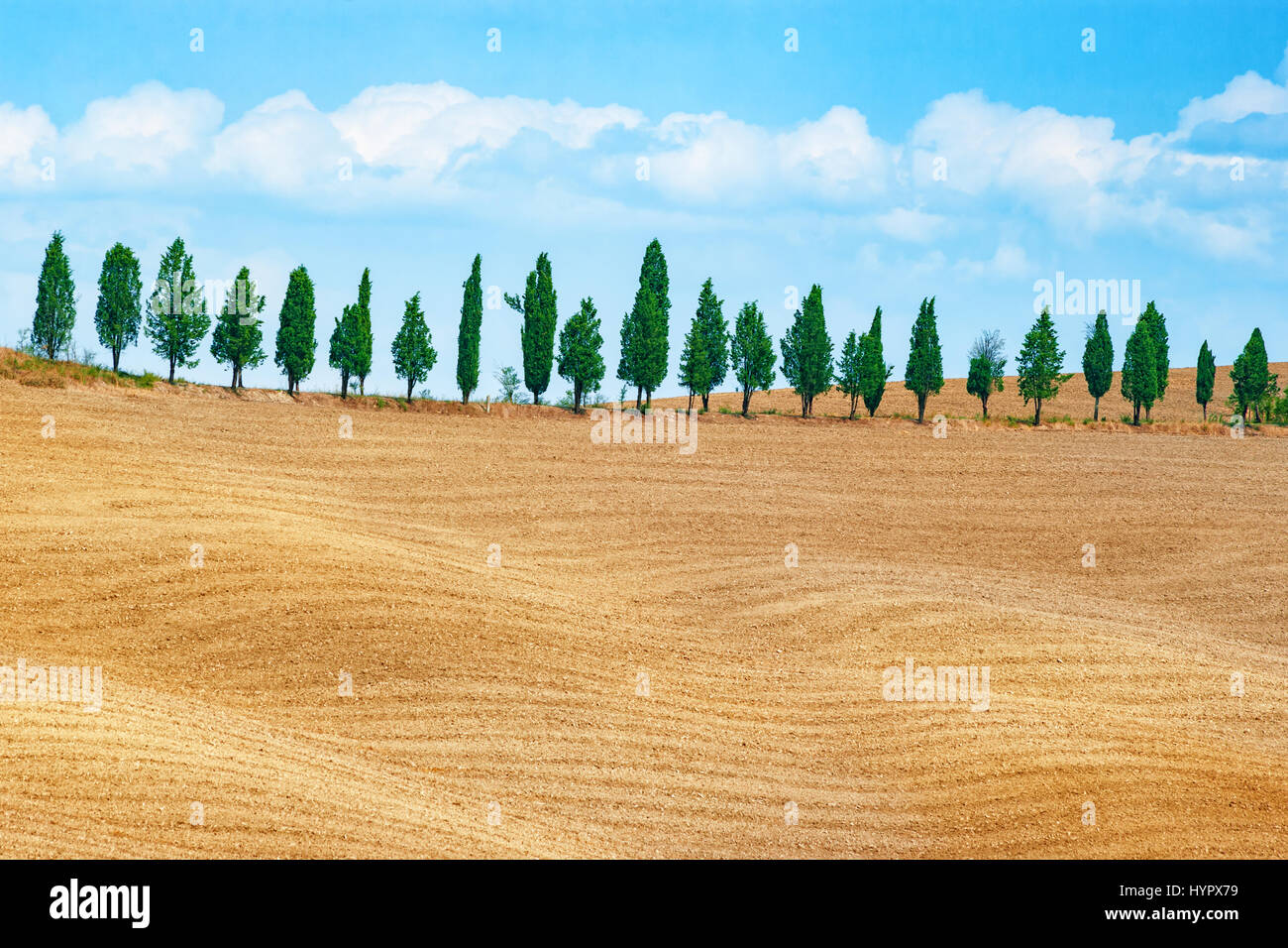 Tree trees hill agriculture hi-res stock photography and images - Alamy