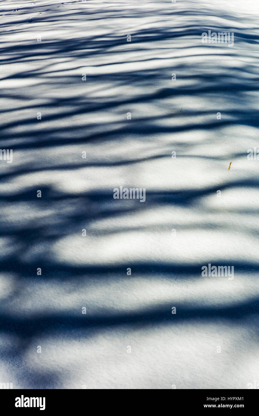 Shadow lines and patterns hi-res stock photography and images - Alamy