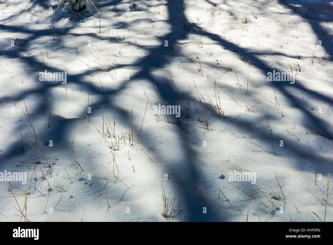 Shadow lines and patterns hi-res stock photography and images - Alamy