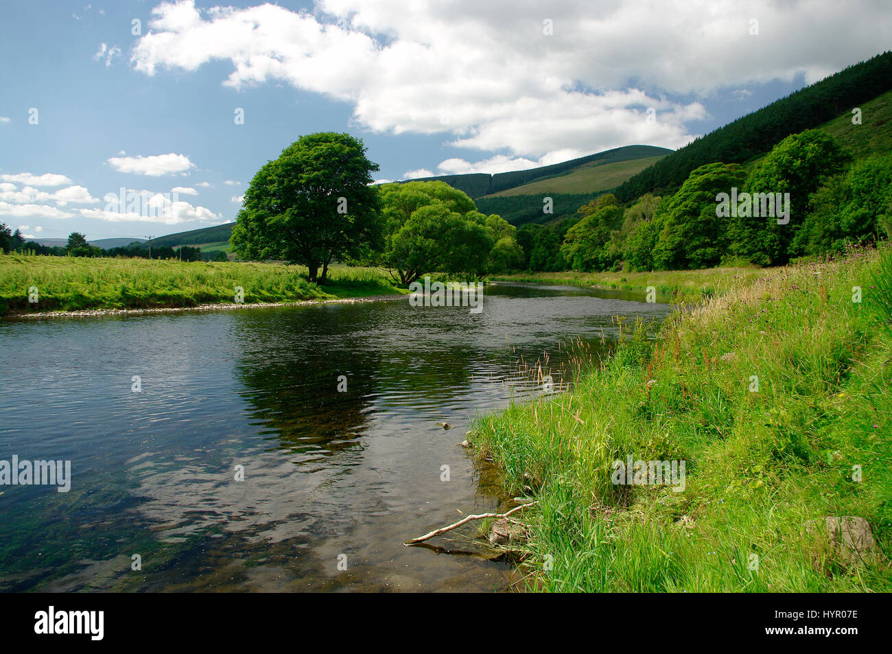 River Tweed at Selkirk, Scotland Stock Photo - Alamy