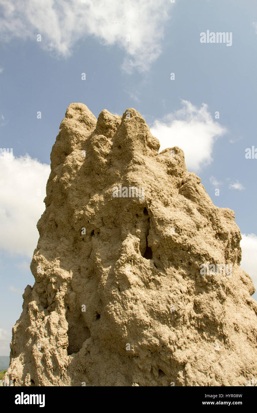 Large termite mound againt blue skies in Tanzania, Africa Stock Photo ...