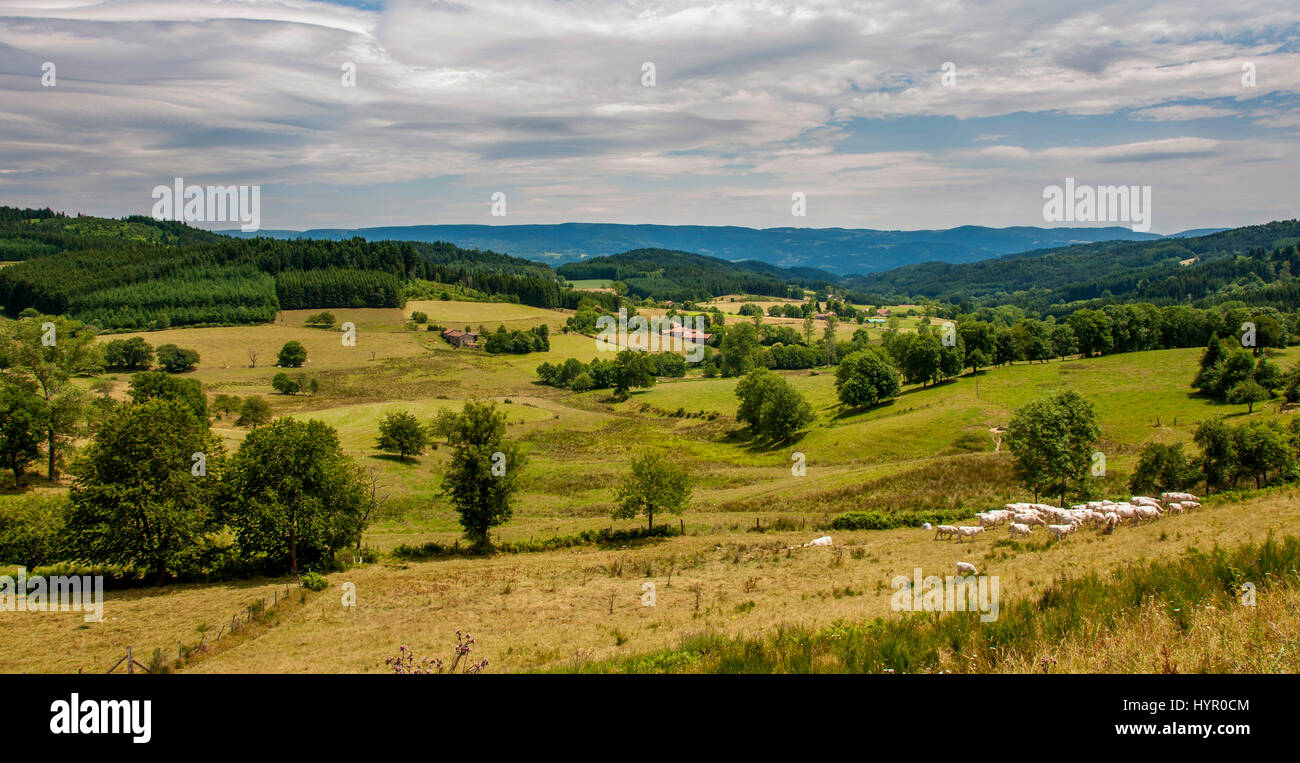 Landscape of Regional Nature Park of Livradois Forez near Ambert. Puy ...
