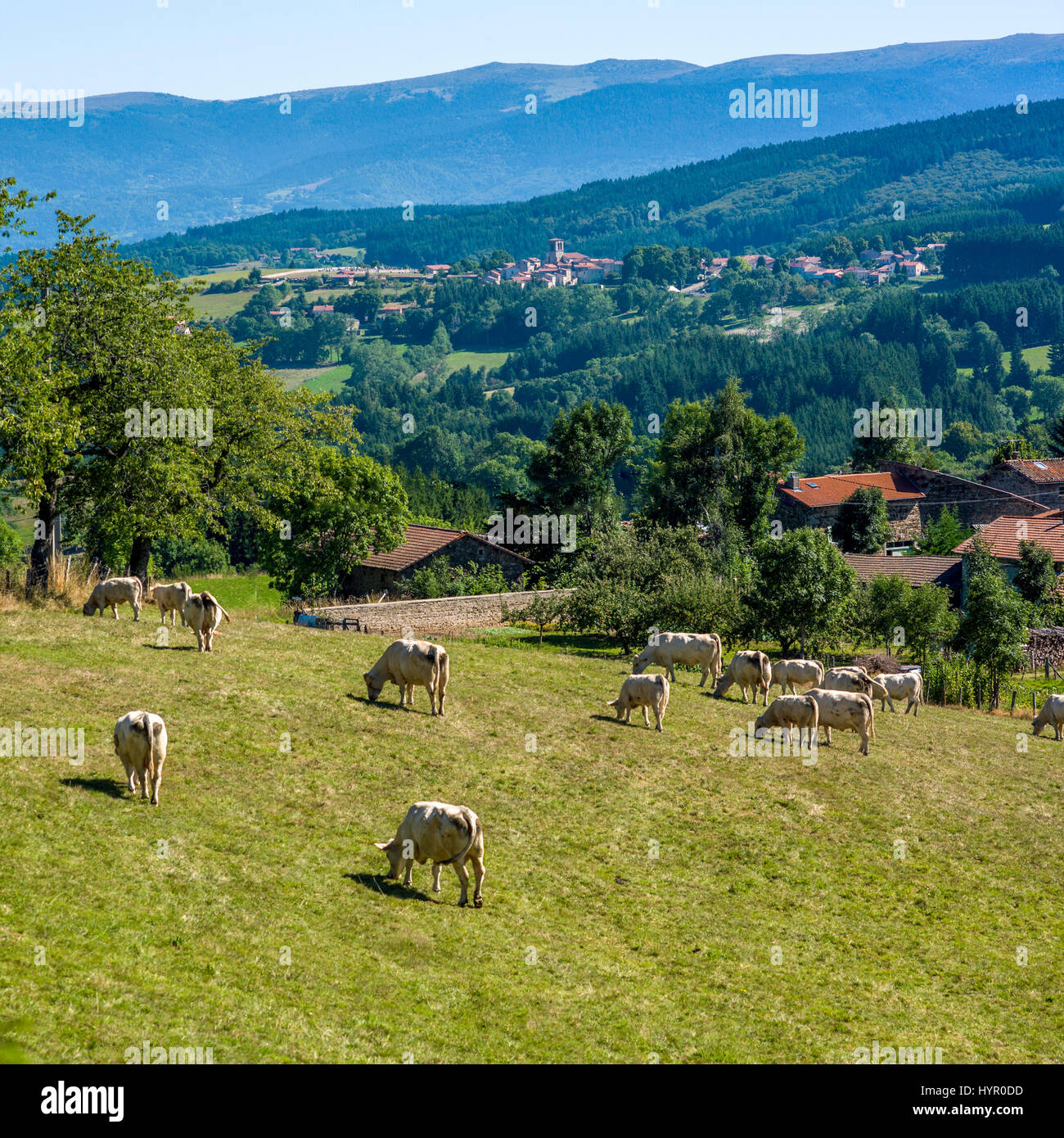 Village of Saint Amant Roche Savine. Regional Nature Park of Livradois ...