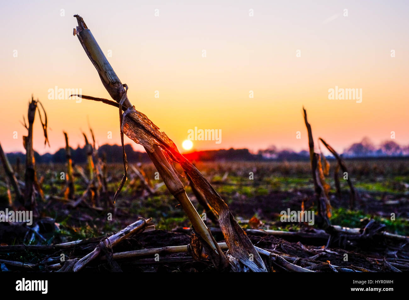 Colorful sunset rural landscape, showing the typical countryside ...