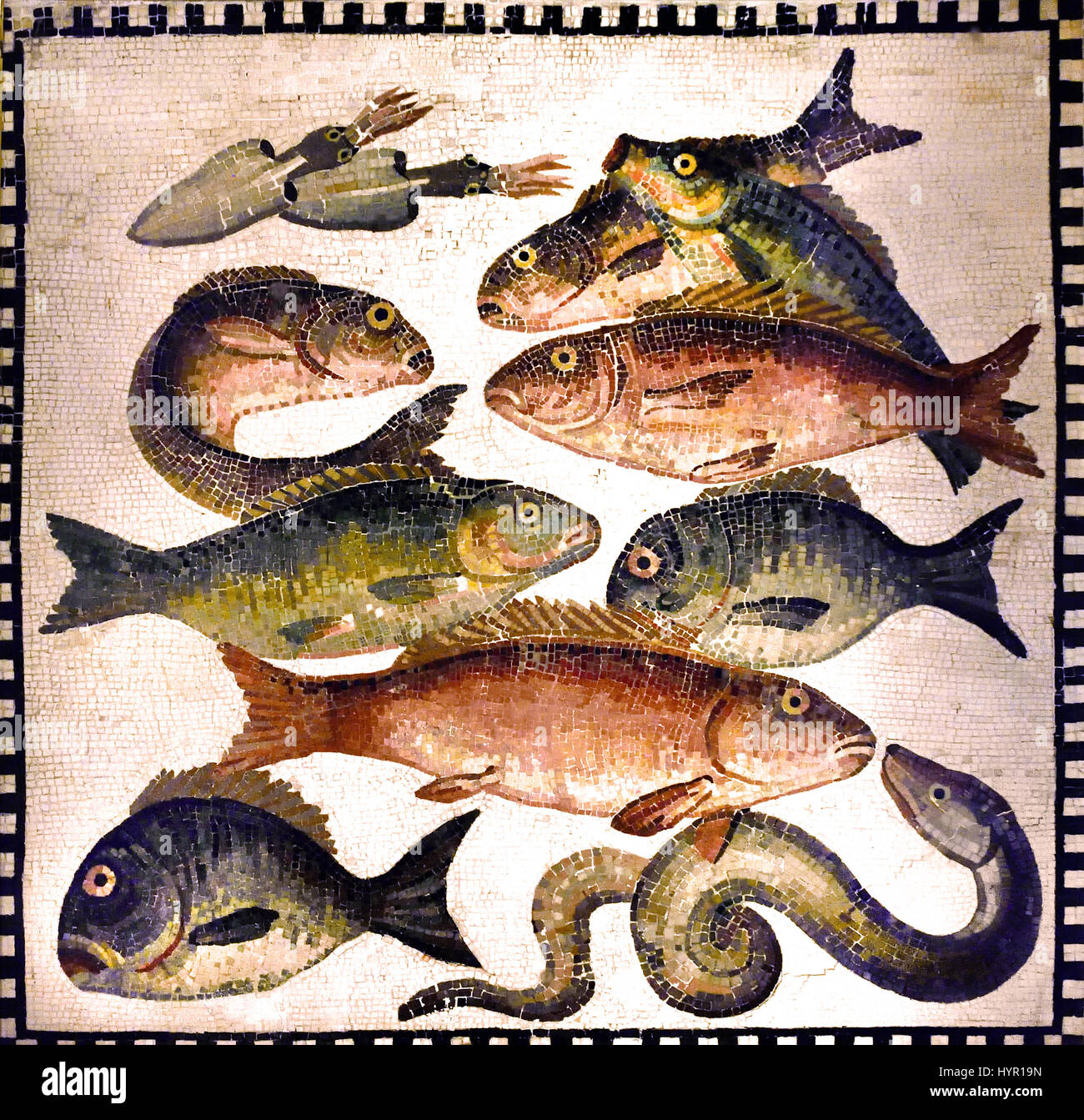 Roman mosaic fish hi-res stock photography and images - Alamy