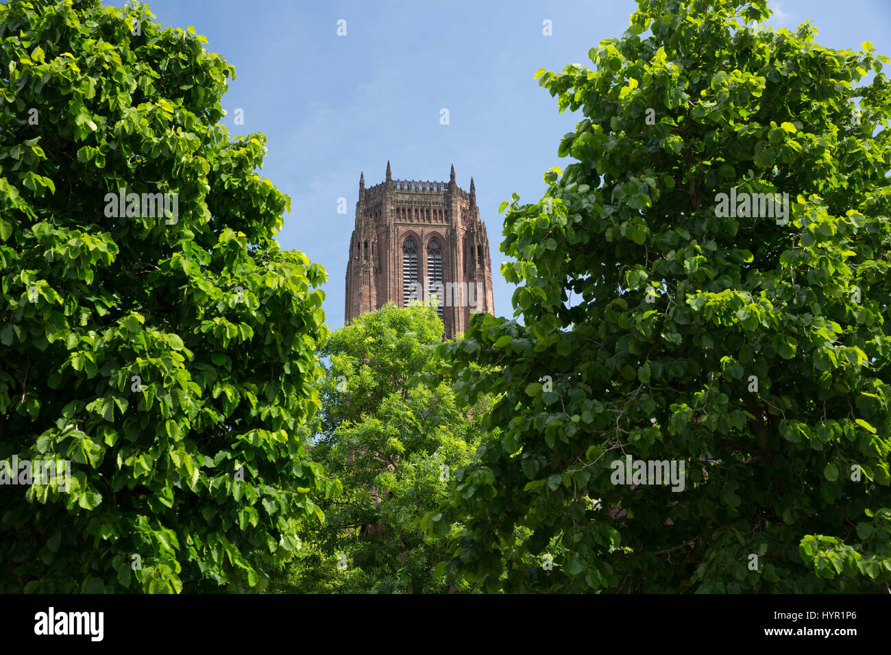 Liverpool Cathedral, Church of England Cathedral of the Diocese of ...