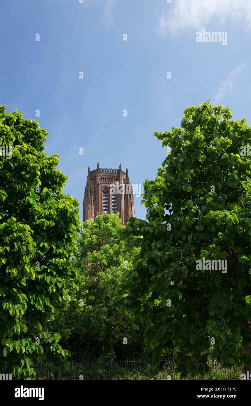 Liverpool Cathedral, Church of England Cathedral of the Diocese of ...