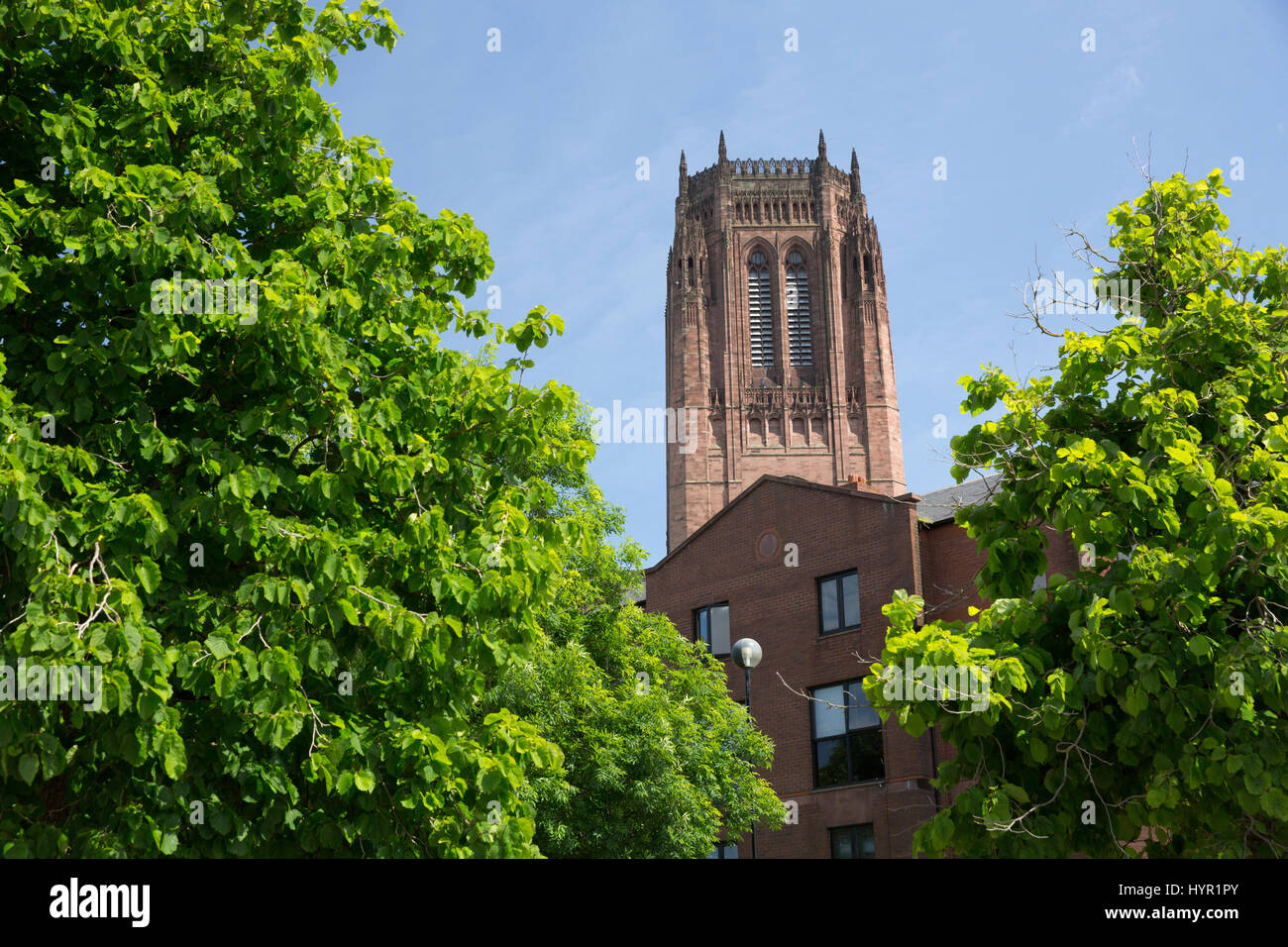 Liverpool Cathedral, Church of England Cathedral of the Diocese of ...