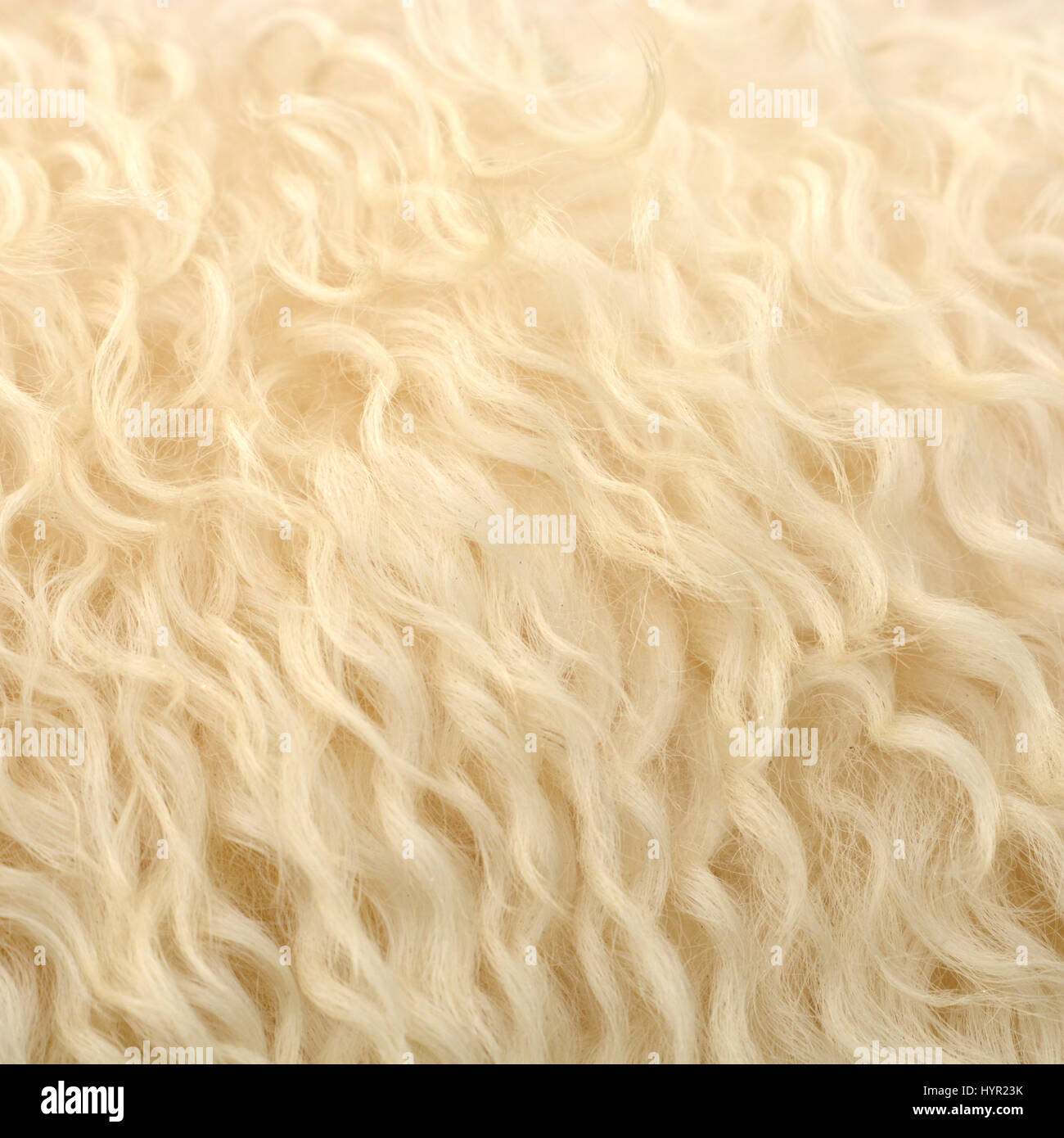 Sheep Skin Stock Photos & Sheep Skin Stock Images - Alamy