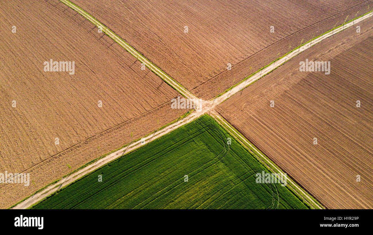 Nature and landscape: Aerial view of a field, cultivation, green grass ...