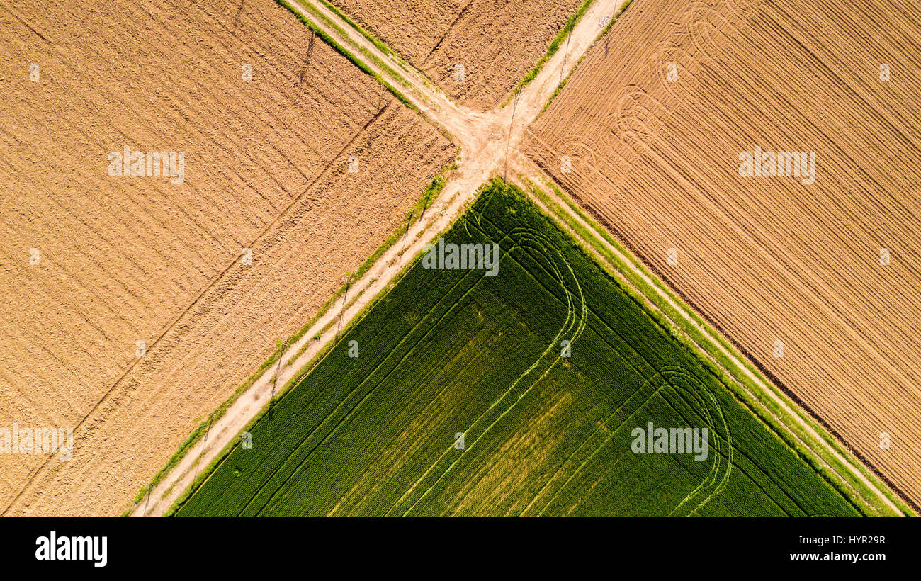 Nature and landscape: Aerial view of a field, cultivation, green grass ...