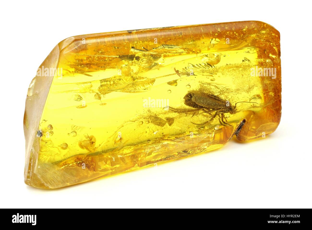 baltic amber with a moth isolated on white background Stock Photo - Alamy
