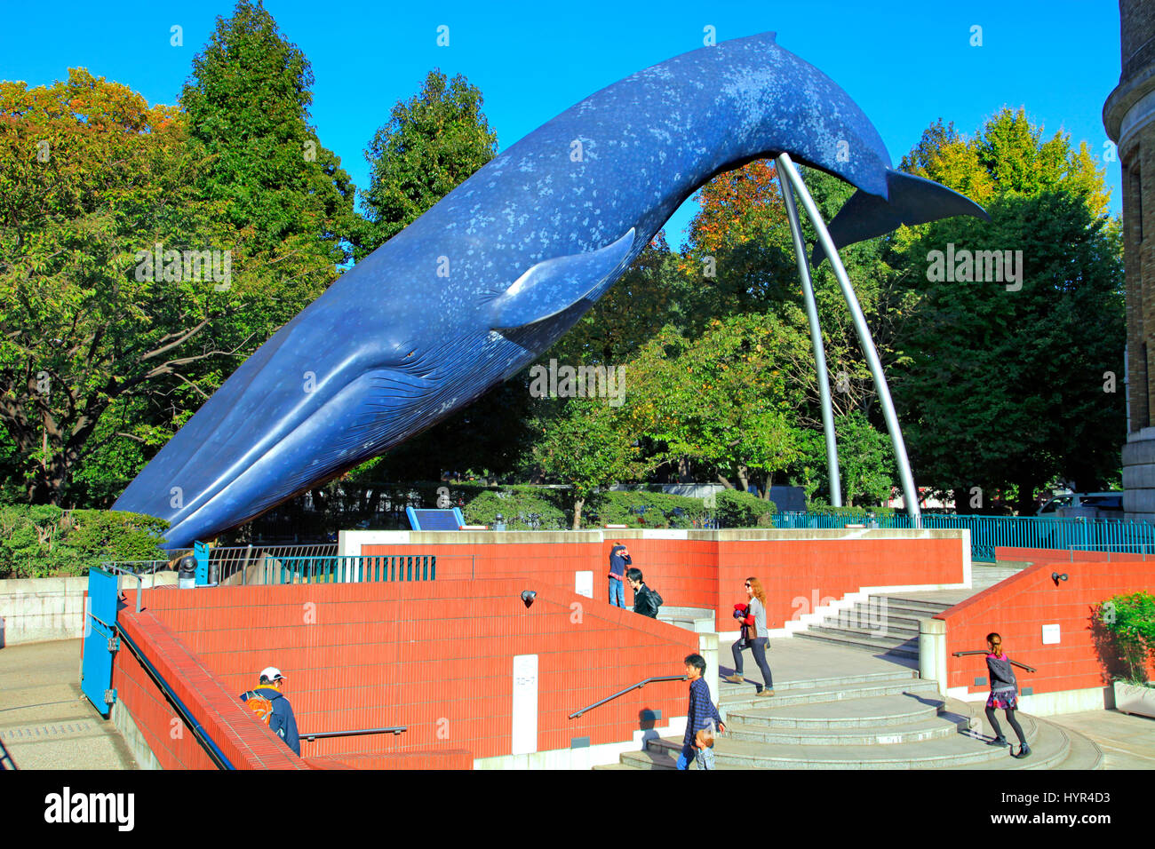 National Museum of Nature and Science Tokyo Japan Stock Photo - Alamy
