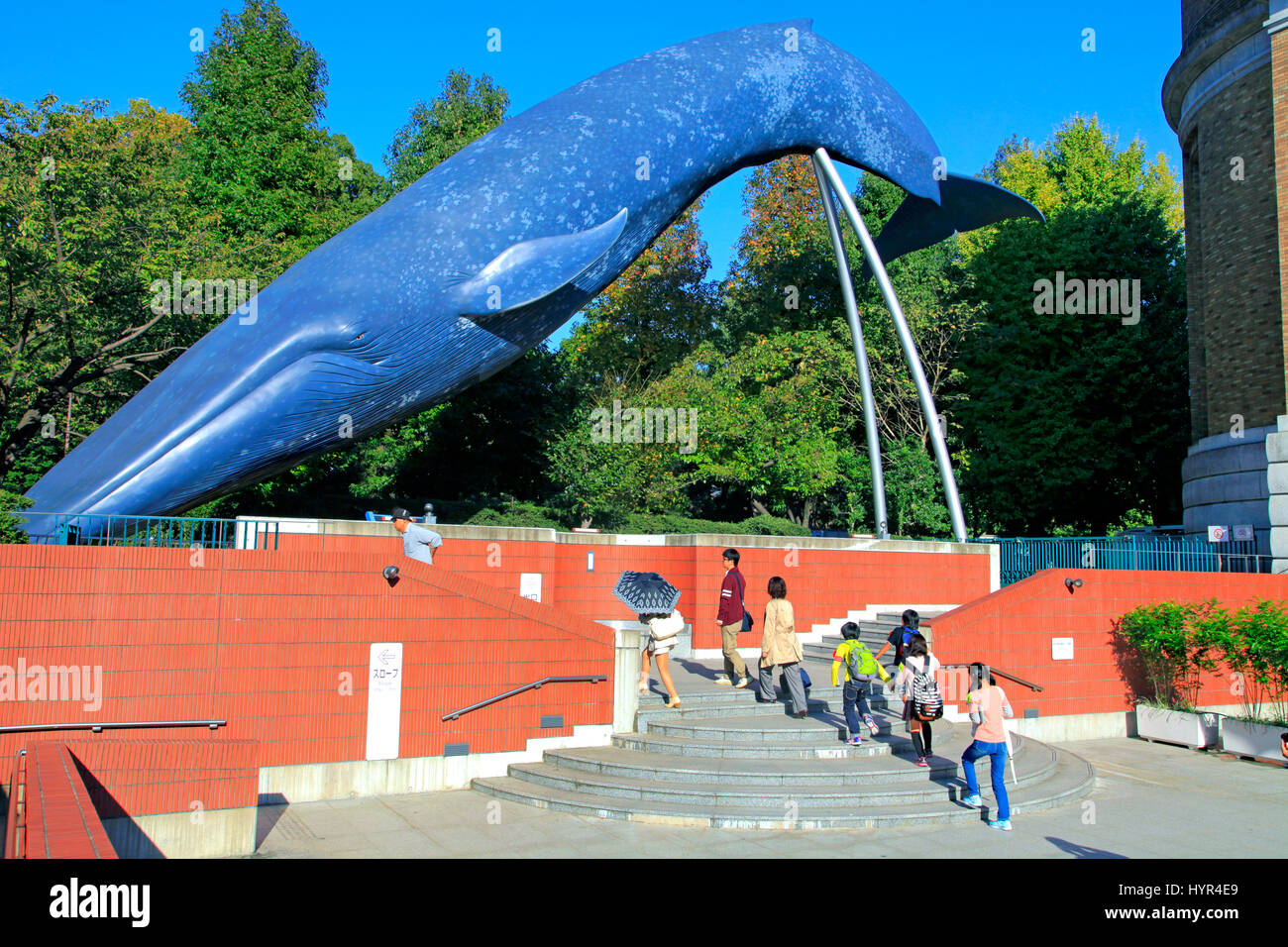 National museum of nature and science ueno park hi-res stock ...