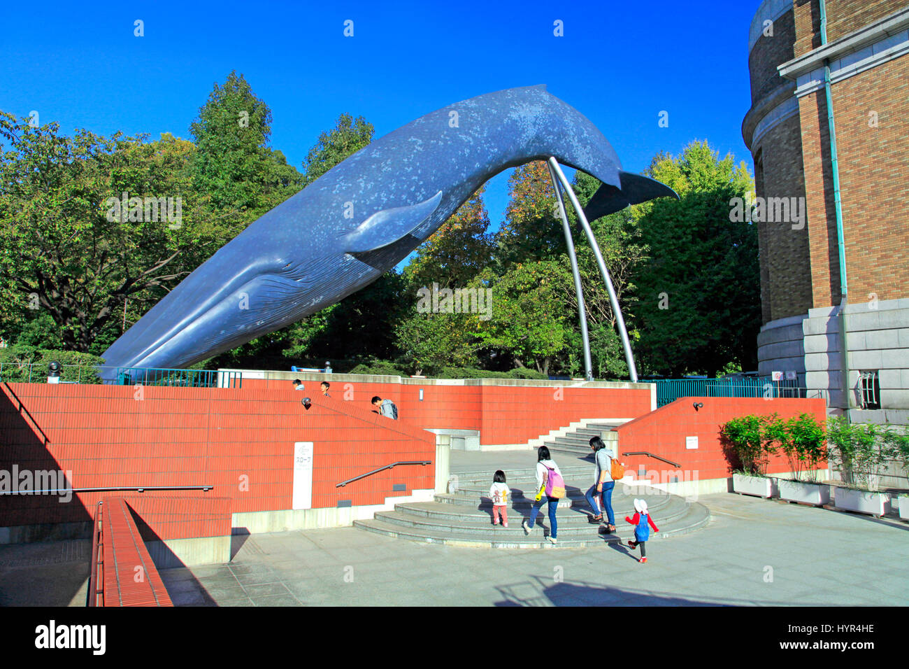National Museum of Nature and Science Tokyo Japan Stock Photo - Alamy
