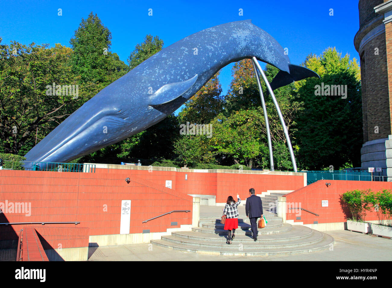 National Museum of Nature and Science Tokyo Japan Stock Photo - Alamy