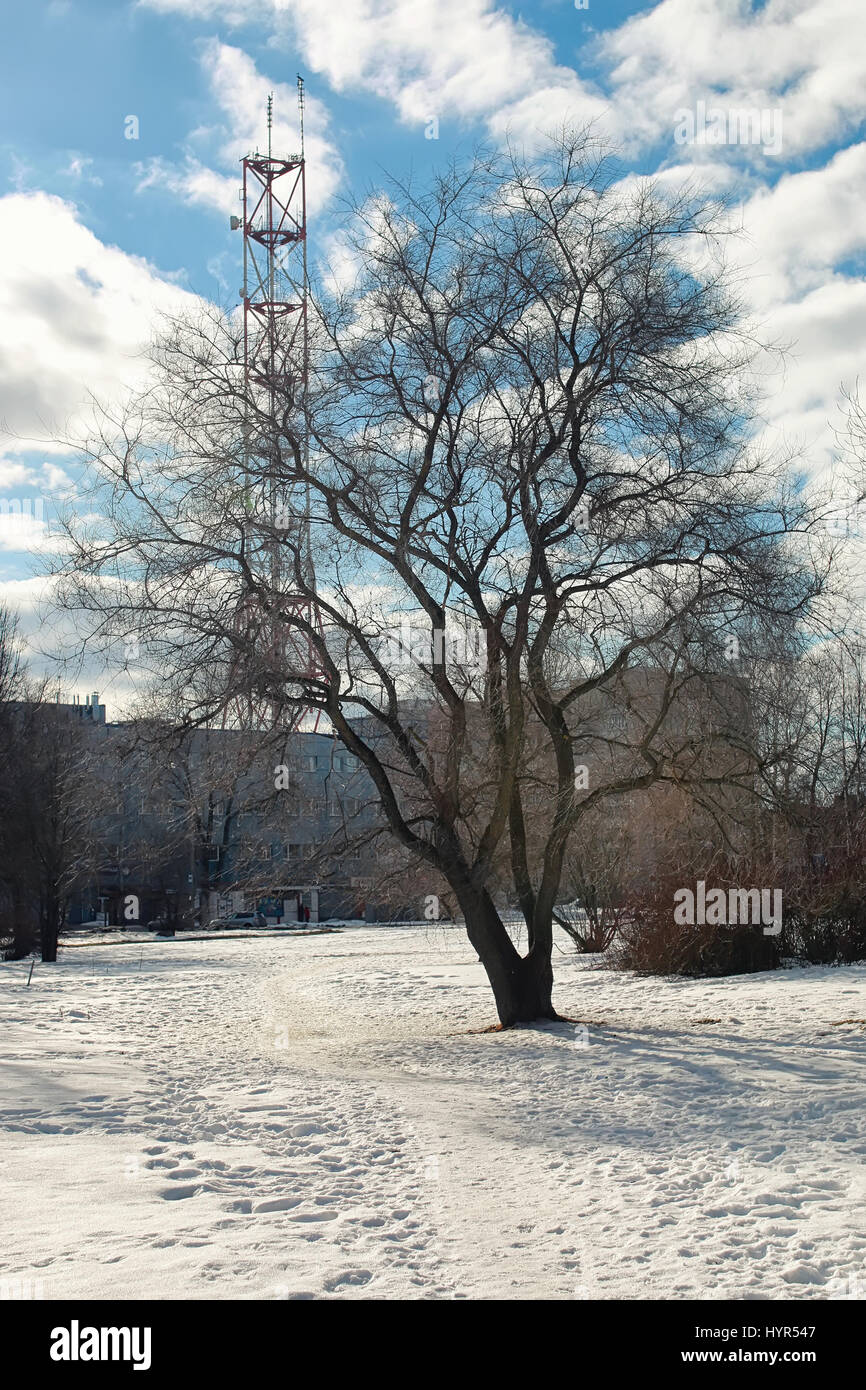 thaw snow lanscape tree Stock Photo - Alamy